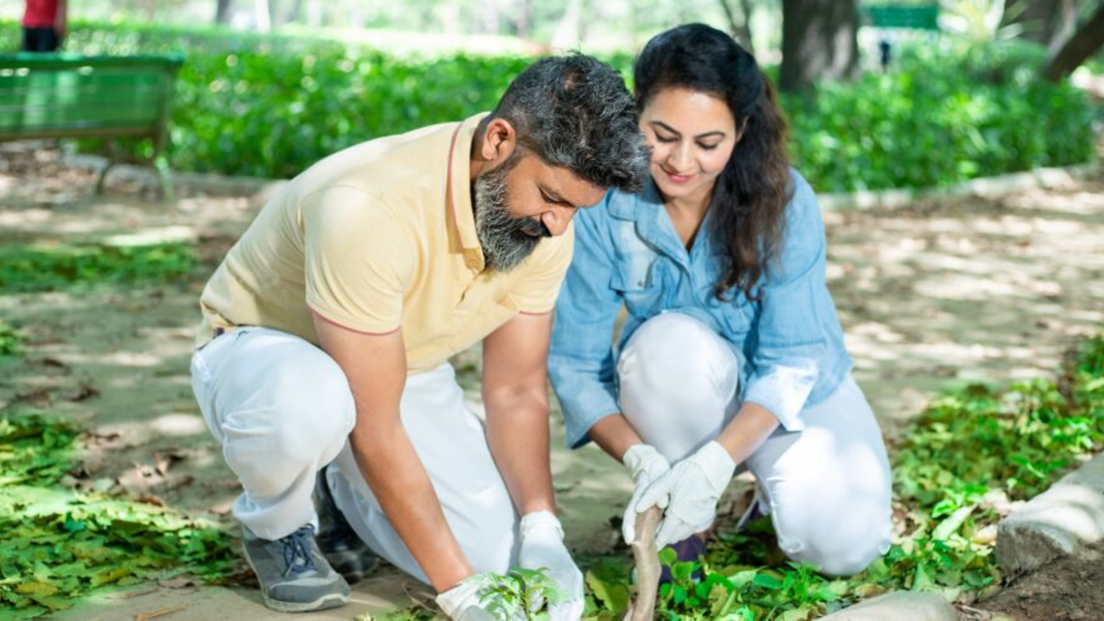 Benefits of Gardening for Allergy Relief - Harris Gardens