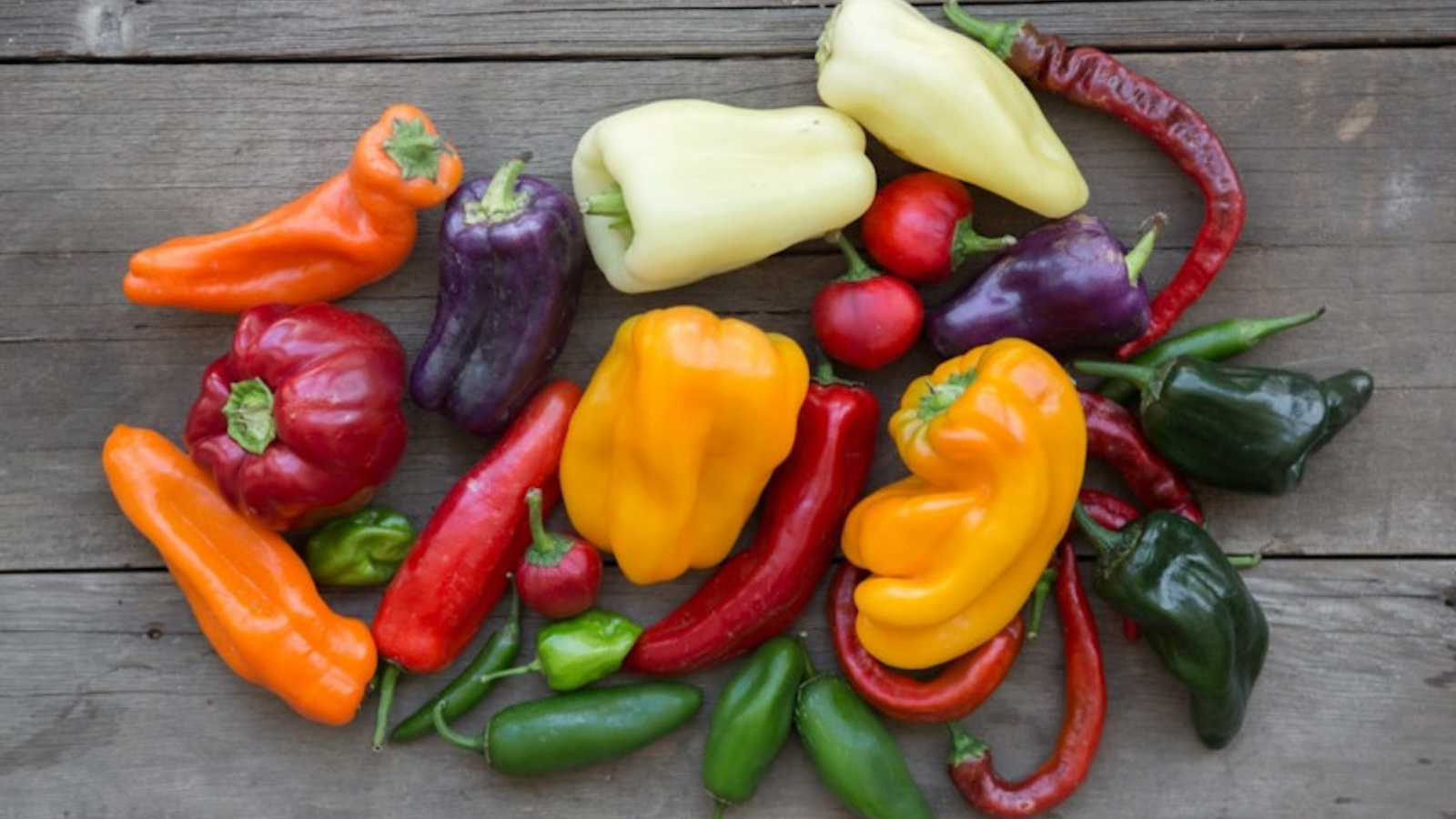 Best Organic Varieties of Peppers - Harris Gardens