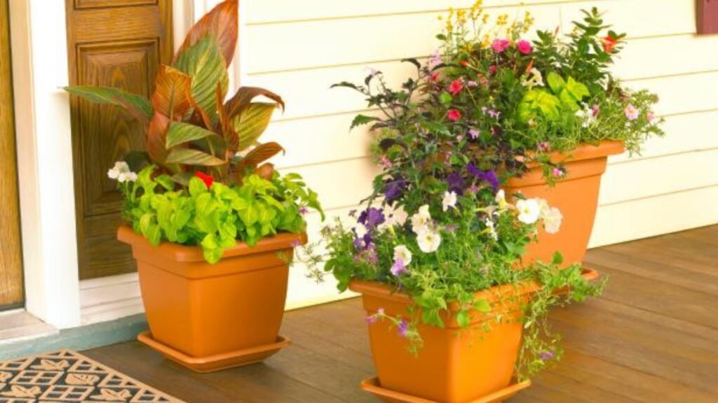 Best Practices for Growing Flowers in Containers - Harris Gardens
