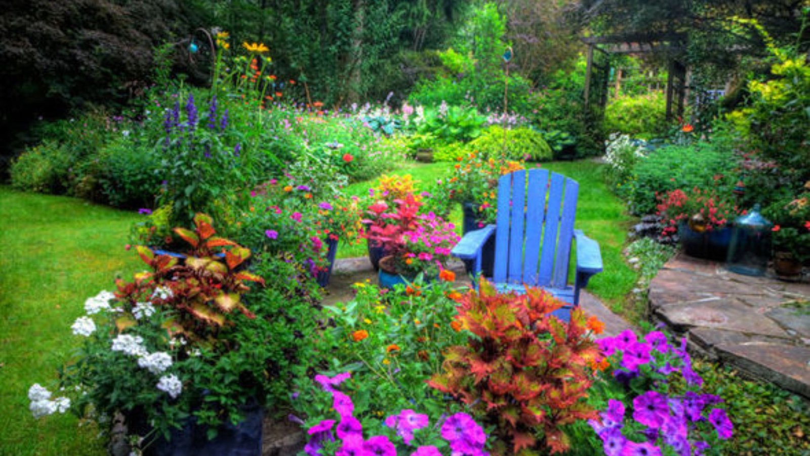 How to Create a Colourful Garden - Harris Gardens
