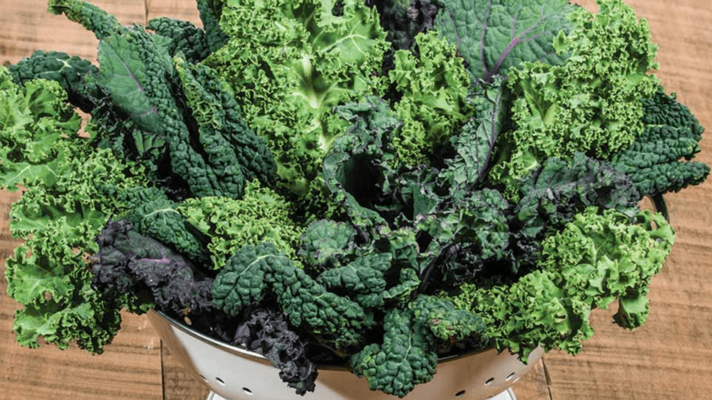 How to Grow Kale in Your Garden: A Step-by-Step Guide - Harris Gardens