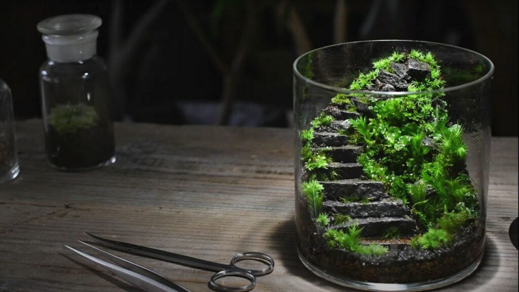 Terrarium Gardening: Miniature Ecosystems in Glass Containers - Harris ...