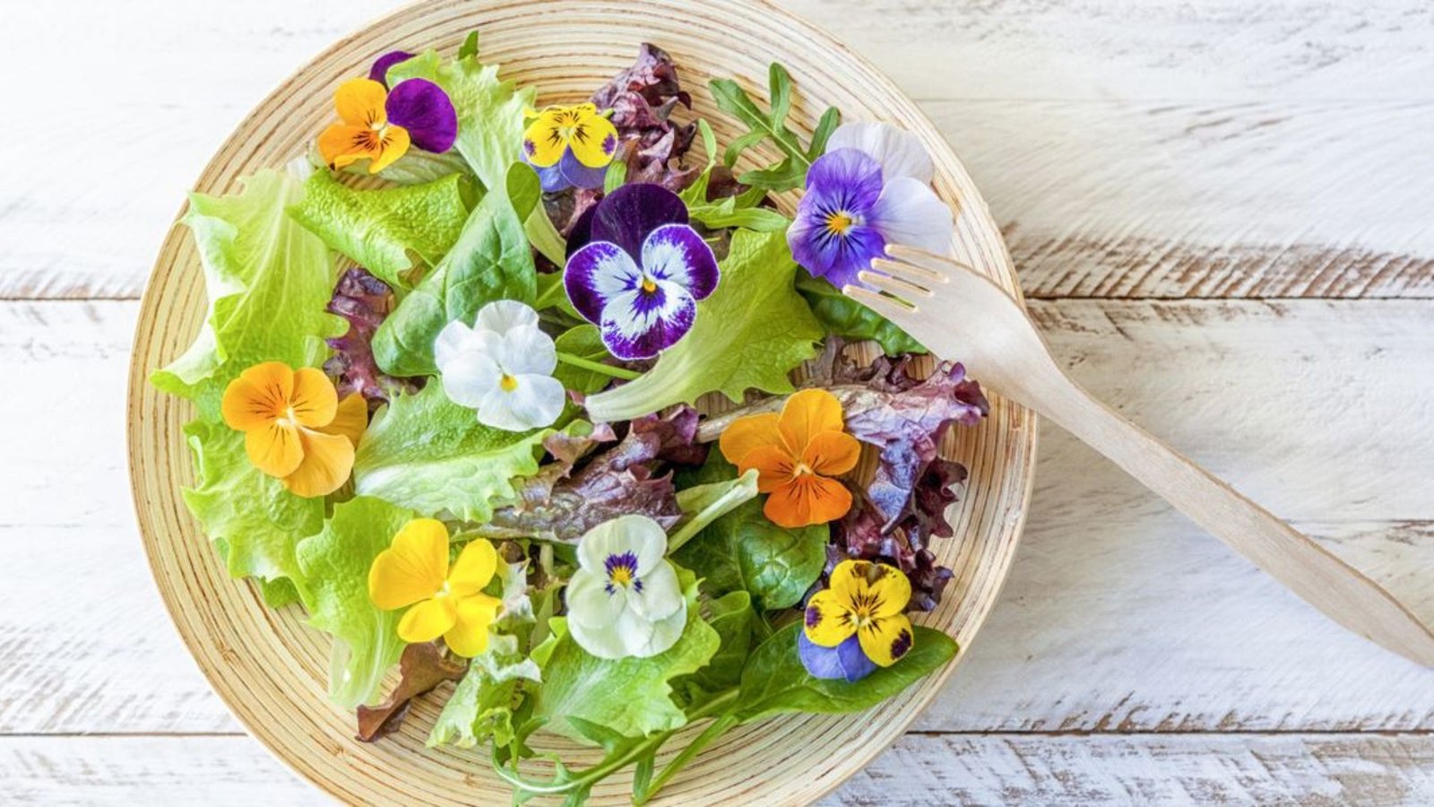 Top 10 Edible Flowers for Culinary - Harris Gardens