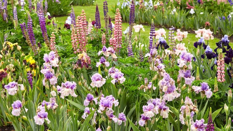 Top Tips for Creating a Fragrant Flower Garden - Harris Gardens