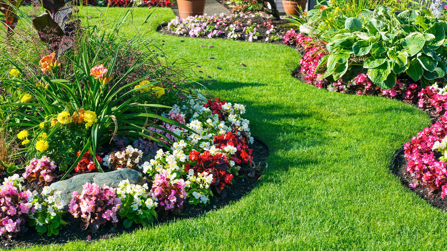 Perfect Flowers